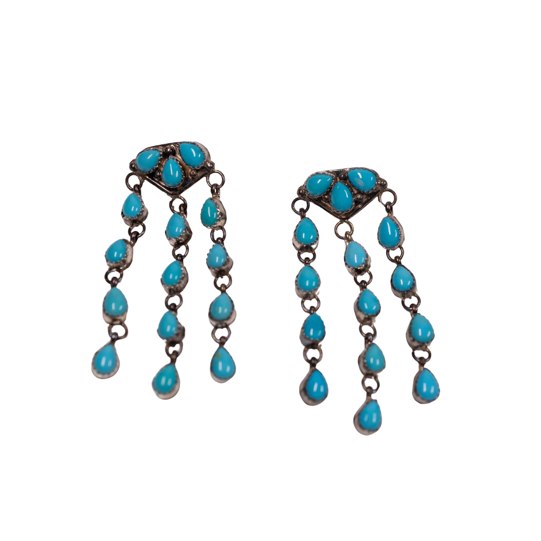 Sleeping Beauty Dangle Earrings – Tanner Trading